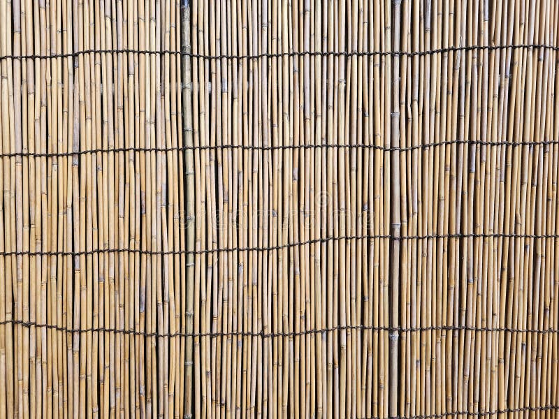 Bamboo Stick Wall Texture Background Stock Photo - Image of fence ...