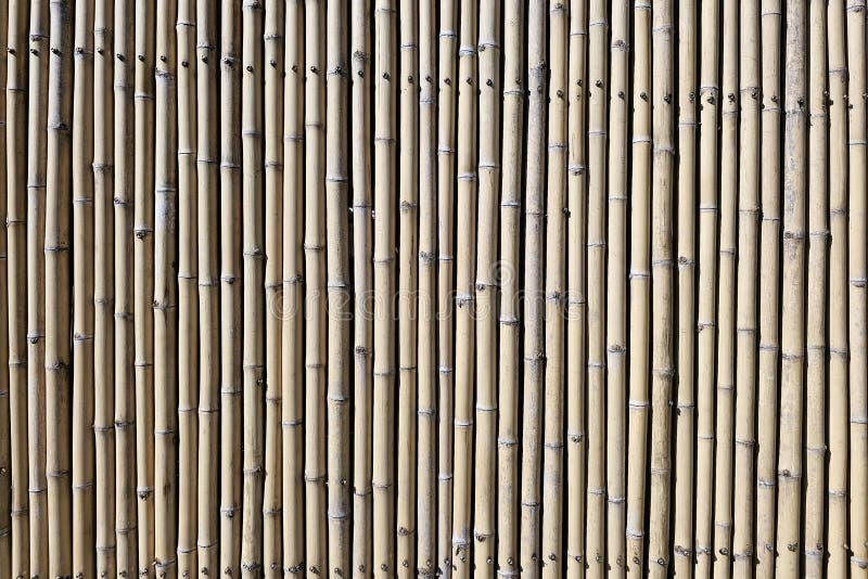 Close Up Bamboo Stick Wall Texture Background. Stock Image - Image of ...
