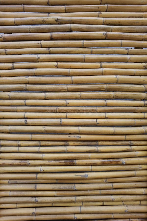 Close up of bamboo texture stock image. Image of pattern - 256513753