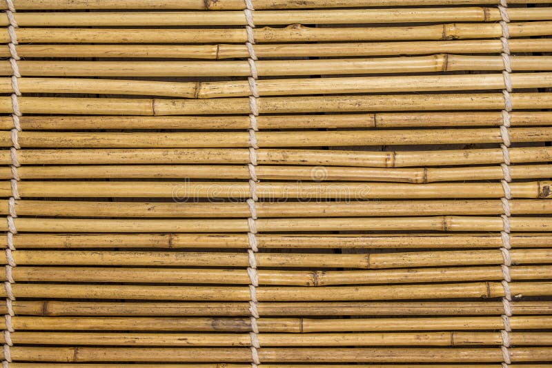 Close up bamboo texture stock photo. Image of pattern - 173698108