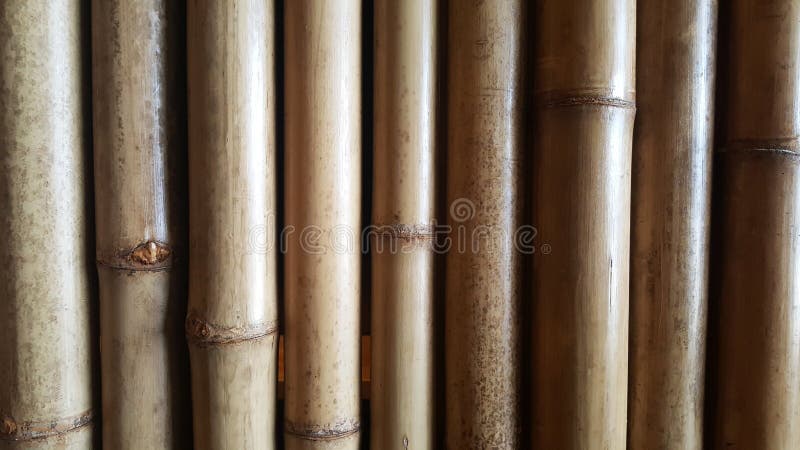 Close-up Bamboo Texture and Side Shadows with Natural Patterns ...