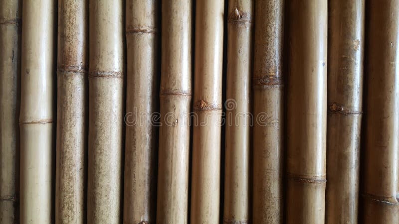 Close-up Bamboo Texture and Side Shadows with Natural Patterns ...