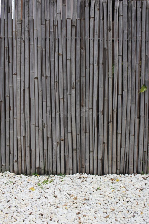 Close-up Bamboo Texture and Side Shadows with Natural Patterns ...