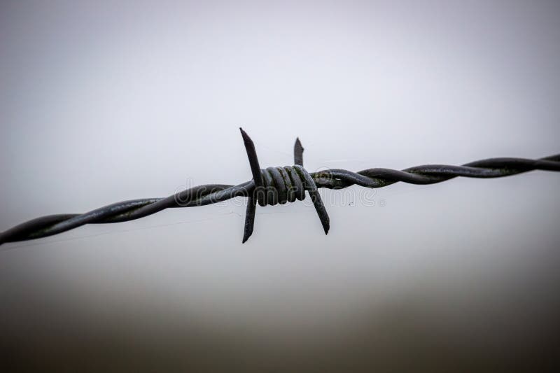 Close Up of Barb Wire Knot with Greyish Background Stock Photo - Image ...