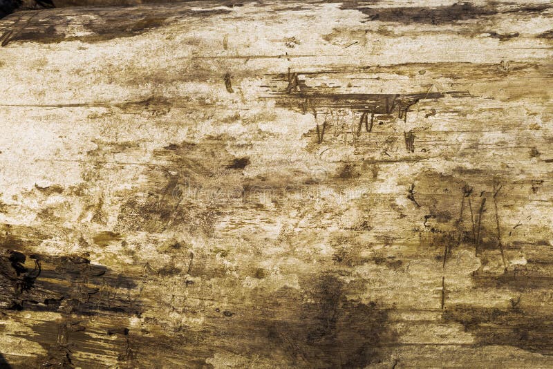 Close-up of Bark and Pattern on the Side of an Old Log Stock Photo ...