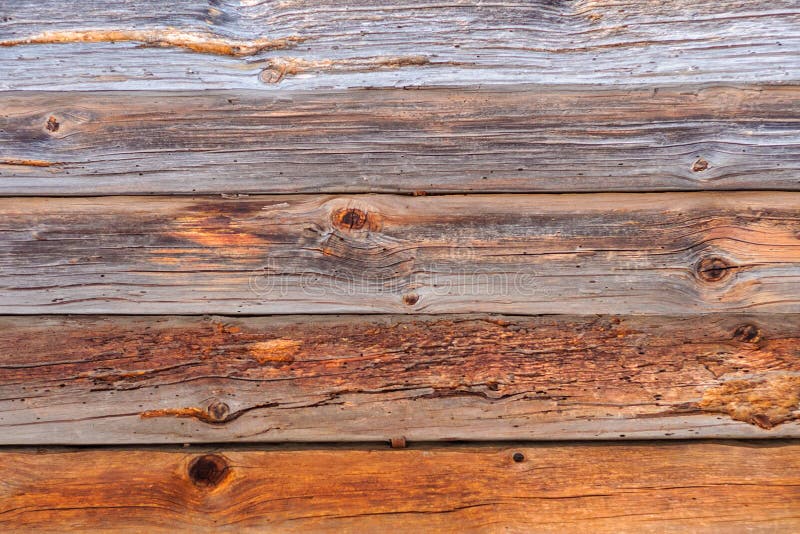 Close-up of Bark and Pattern on the Side of an Old Log Stock Image ...