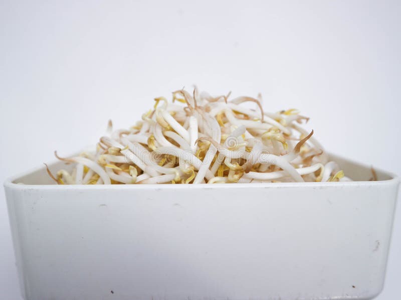 Close Up, Bean Sprouts in a Container Stock Photo - Image of healthy ...