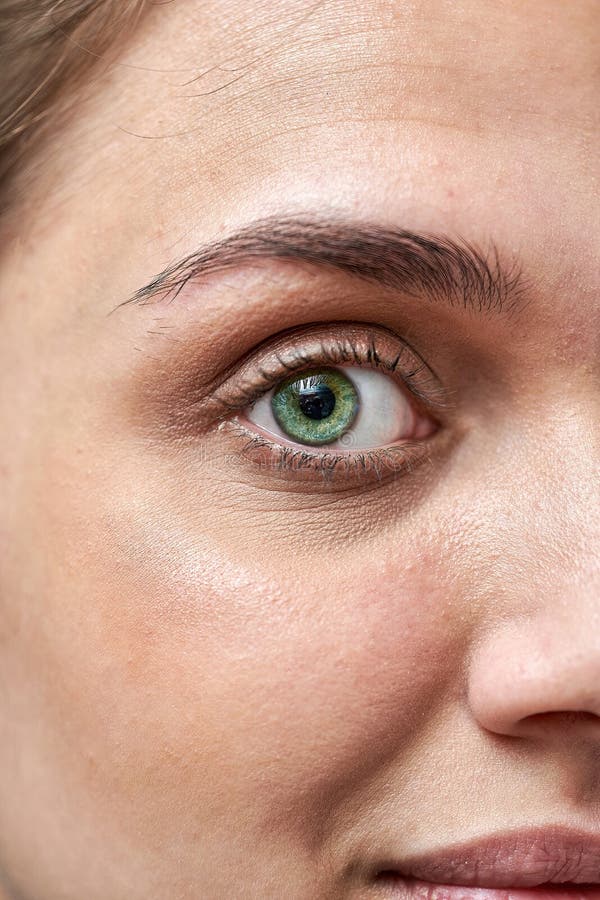 Close Up of a Beautiful Female Eye and a Processed Eyebrow Stock Image ...
