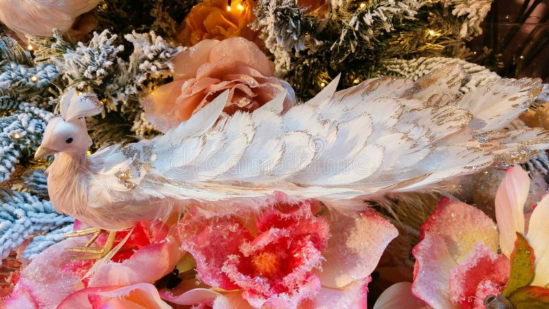 Close Up of Beautiful Pink Peacock on Christmas Tree Stock Image ...