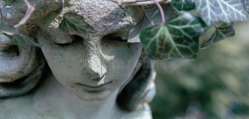 Close Up Beautiful Tender Bow of Angel Looking Down. Copy Space Stock ...