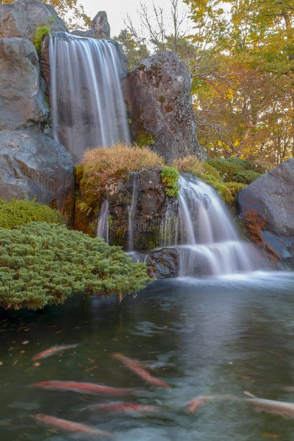 Close Up Beautiful Waterfall and Forest Change Color Leaf in Autumn at ...