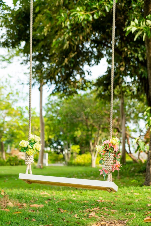 Close-up Beautiful White Swing in Park Stock Photo - Image of garden ...