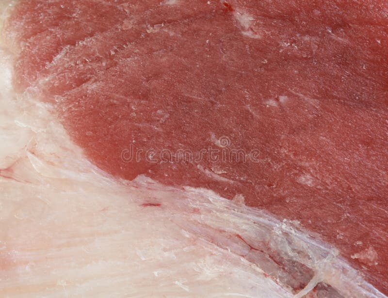 330 Tendon Texture Stock Photos - Free & Royalty-Free Stock Photos from ...