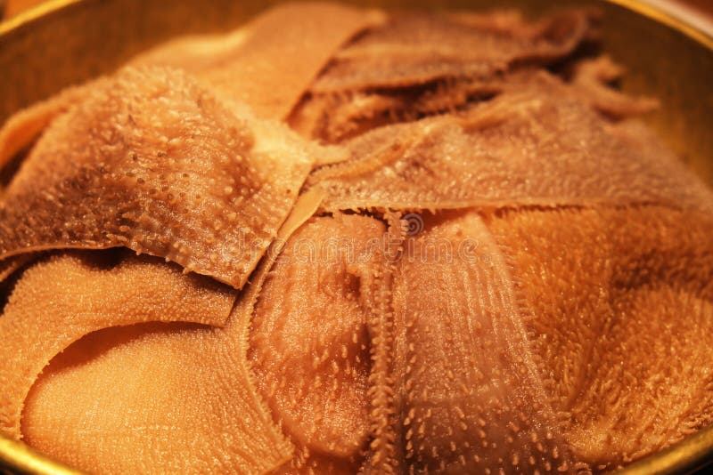 Close Up Beef Tripe Raw Food in Plate Stock Image - Image of tripes ...