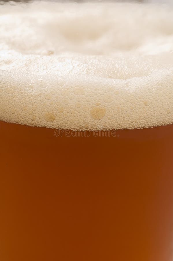 Close up of Beer stock photo. Image of alcohol, detail - 20914882