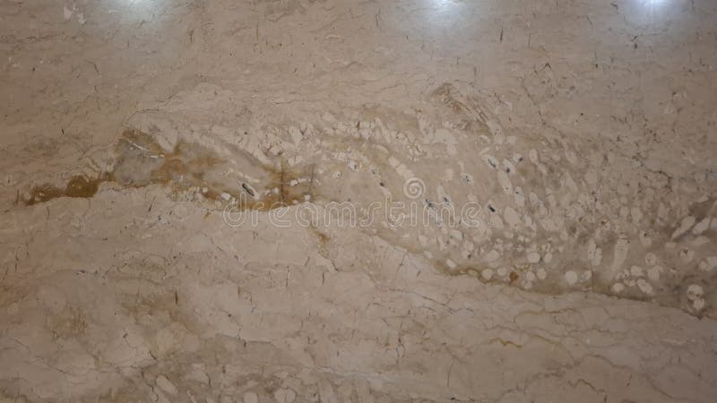 Close-up of Beige Marble Slab with Unique Veining Pattern Stock Photo ...