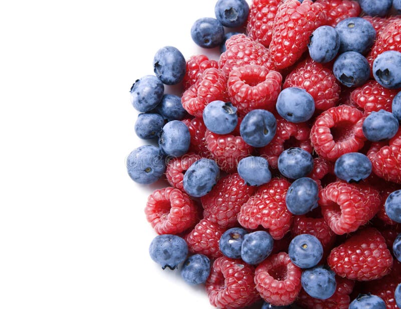 Berries close-up stock photo. Image of juicy, tasty, close - 5348082