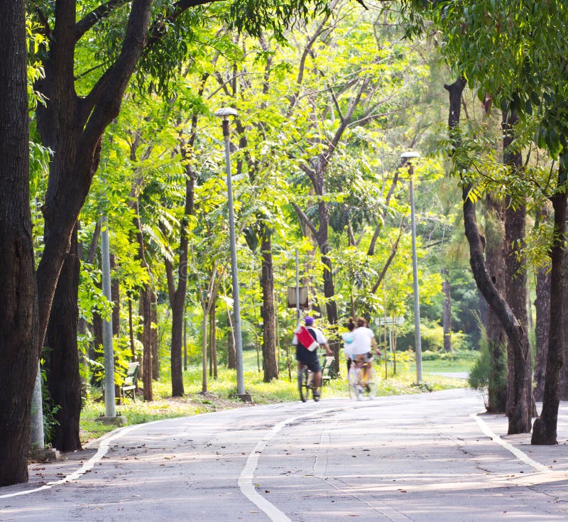 Bicycle path in the park stock photo. Image of natural - 29892362