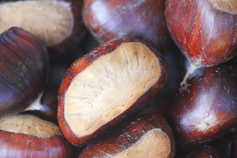 Close-up big chestnuts stock photo. Image of spiny, castanea - 60758296
