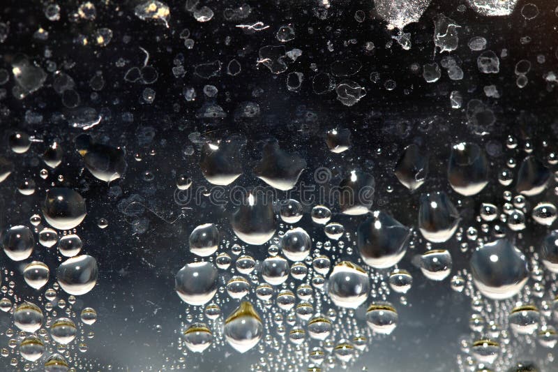 Close Up of Big Floating Water Bubbles on Glass after the Rain Stock ...