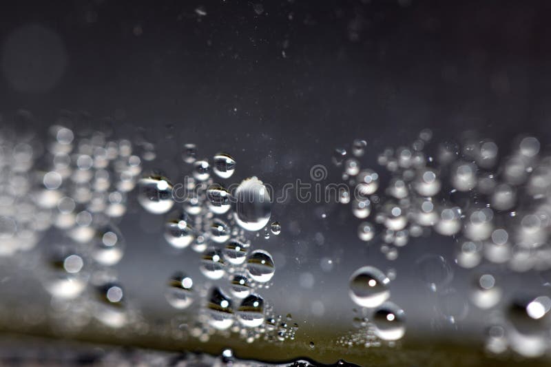 Close Up of Big Floating Water Bubbles on Glass after the Rain Stock ...