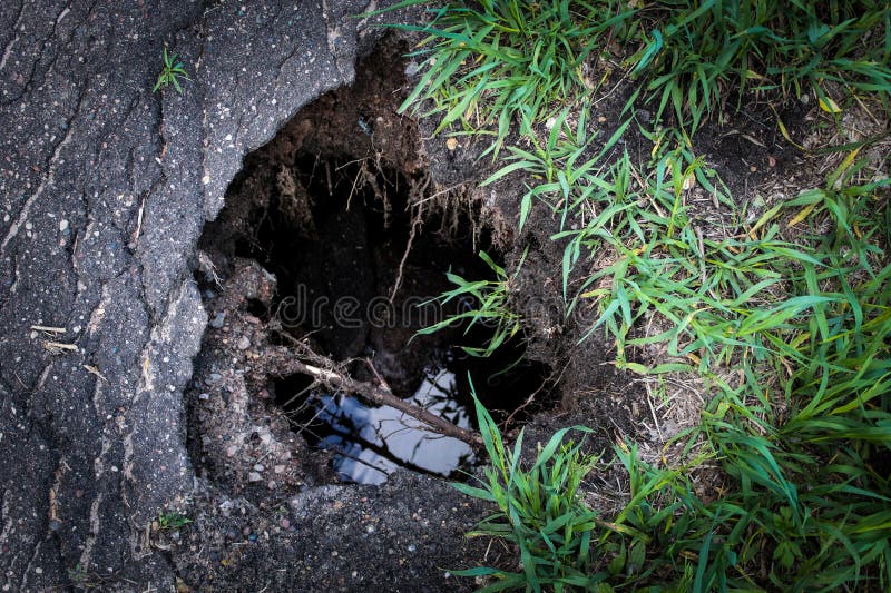 Close-up of a Big Hole Dug by a Beaver. Animal Behavior Wildlife Design ...