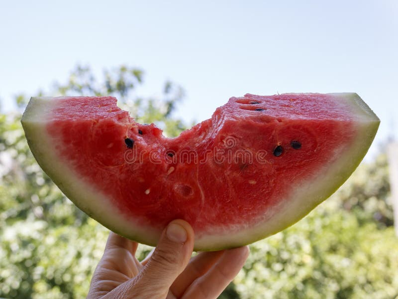 Close-up of Bitten Watermelon Slice Stock Photo - Image of watermelon ...