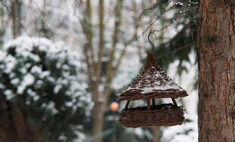 Close Up on Bird House on Winter Stock Image - Image of hungry, city ...