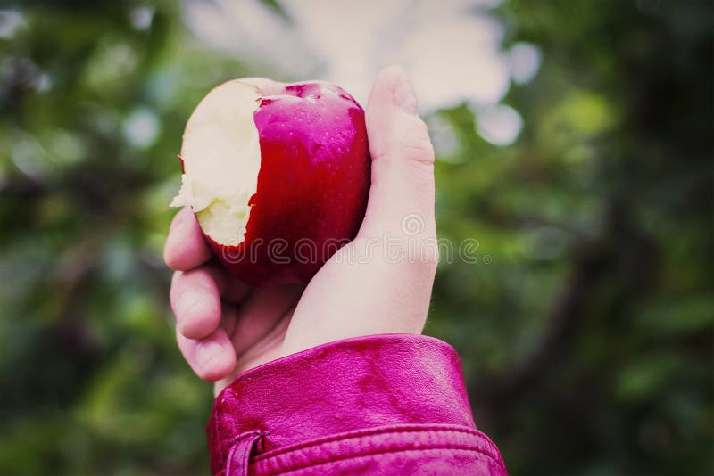 Close Up of a Bitten Apple Being Held Stock Photo - Image of ...
