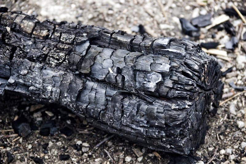 A Black Burnt Log from a Fire Stock Photo - Image of energy, crack ...