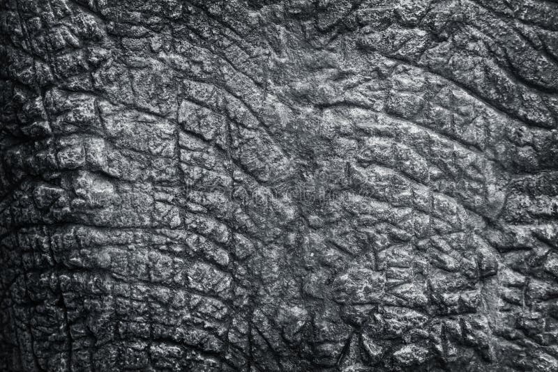 Black Concrete Texture Line Seamless Patterns Background Stock Image ...