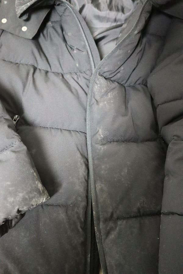 Close-up of a Black Down Jacket with Mold on it Stock Image - Image of ...