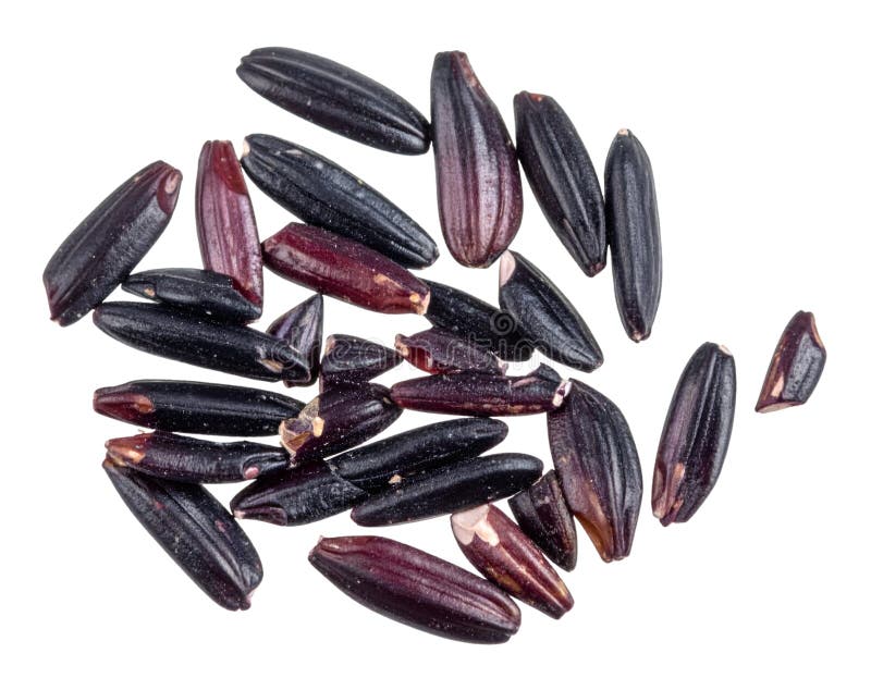 Close Up of Black Rice Grains Isolated on Transparent Background Stock ...