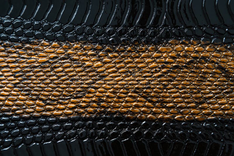 Close Up of Black Snake Texture. Dark Reptile Skin Background Stock ...