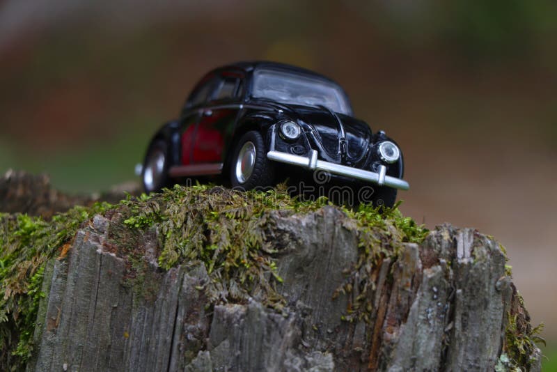 Close Up of a Black Toy Car Over a Big Branch of a Tree. Stock Image ...