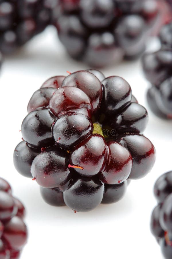 Close up of a blackberries stock image. Image of items - 3240053