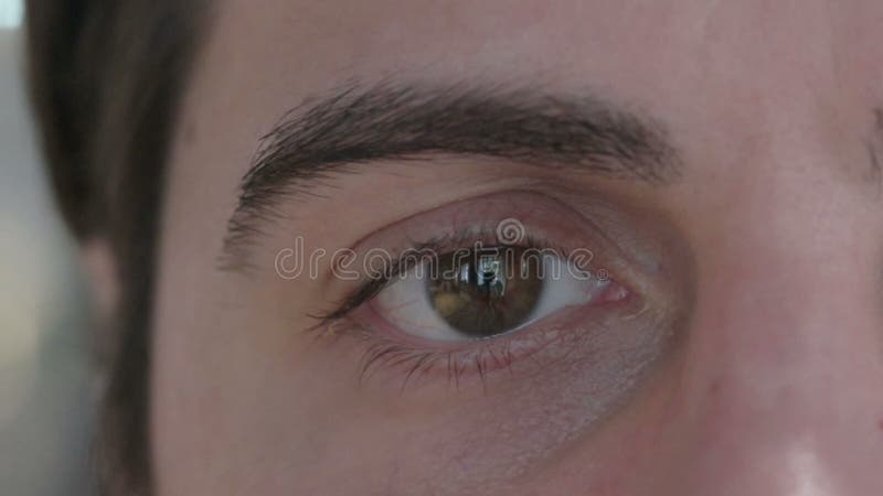 Blinking Eye of Young Man stock footage. Video of satisfaction - 230337462