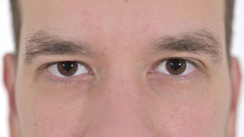 Close Up of Blinking Eyes of Young Man Looking at the Camera , White ...