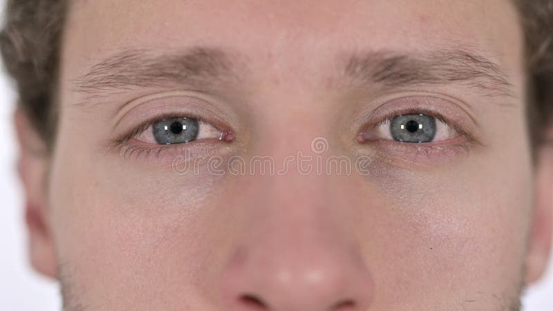 Close Up of Blinking Eyes of Young Man on White Background Stock Photo ...
