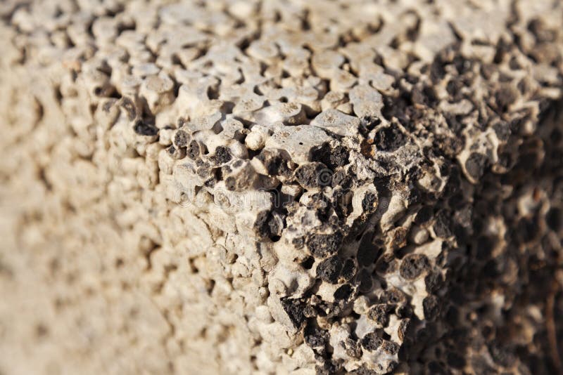 Leca Concrete Texture Stock Photos - Free & Royalty-Free Stock Photos ...