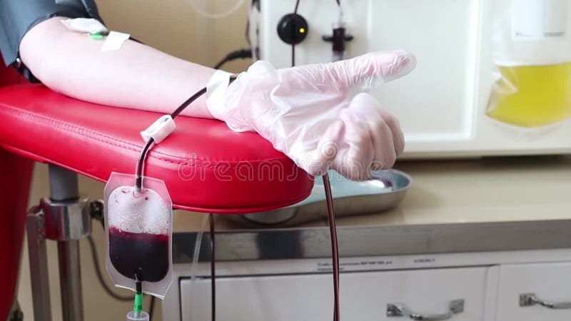 Close Up of Blood Extraction in Lab. Stock Footage - Video of doctor ...