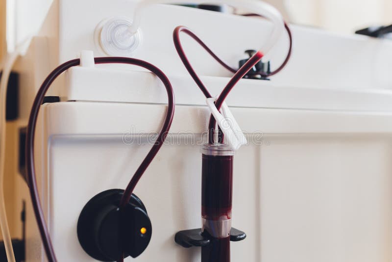 767 Extraction Blood Stock Photos - Free & Royalty-Free Stock Photos ...