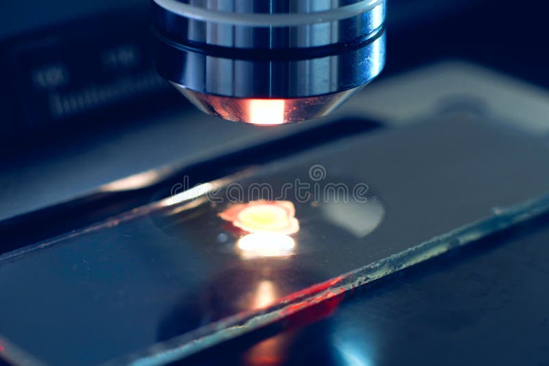 Close Up of Blood Sample on a Microscope Glass Stock Image - Image of ...