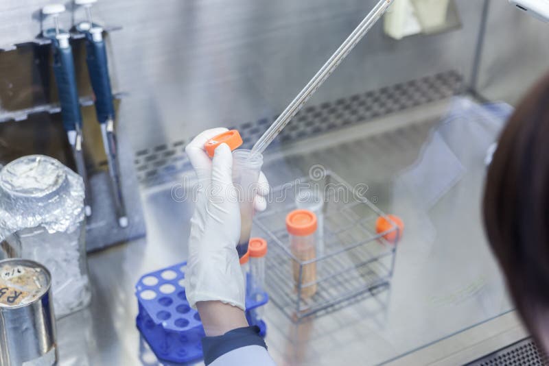 Blood Sample in Plastic Tube Stock Image - Image of industry, glass ...