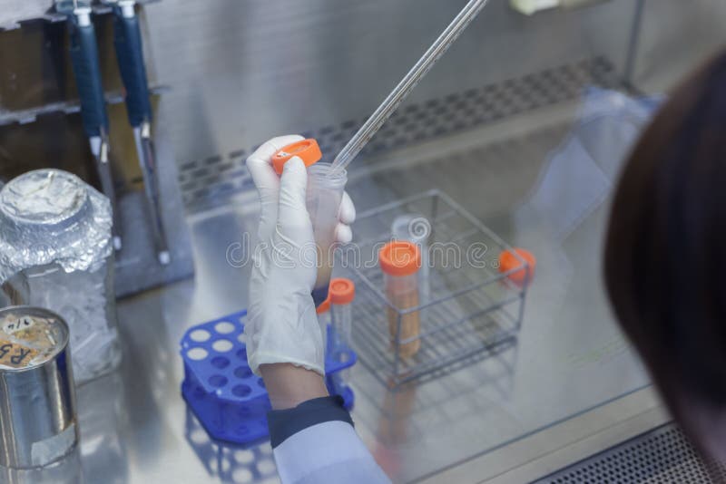 Blood Sample in Plastic Tube Stock Image - Image of concept, industry ...