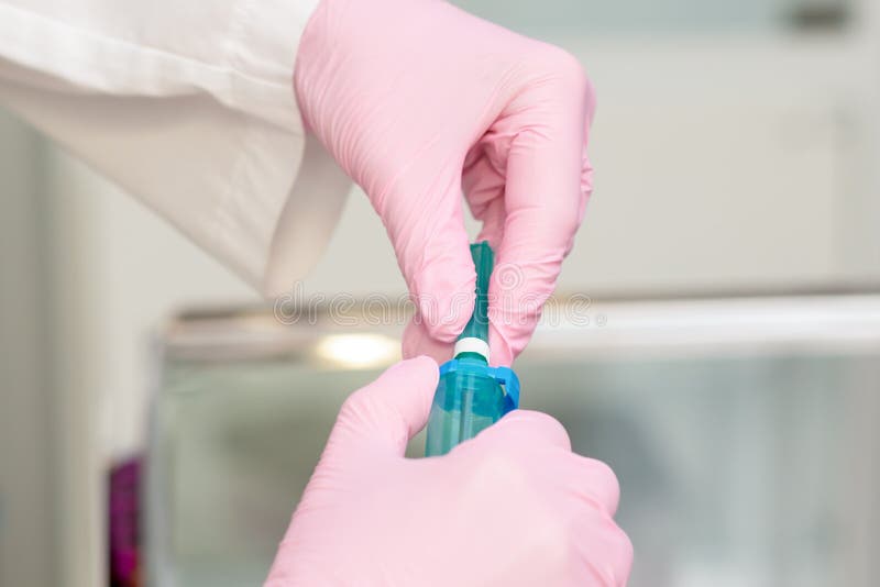 Blood Sampling Tool in Hands of Nurse Stock Photo - Image of pink ...