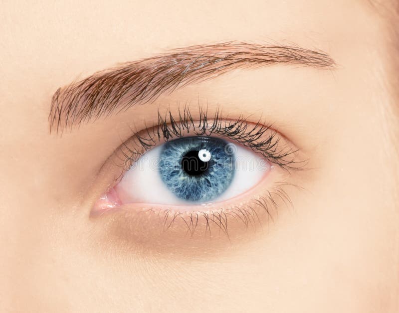 Close Up Blue Eye with Makeup Stock Photo - Image of iris, creative ...