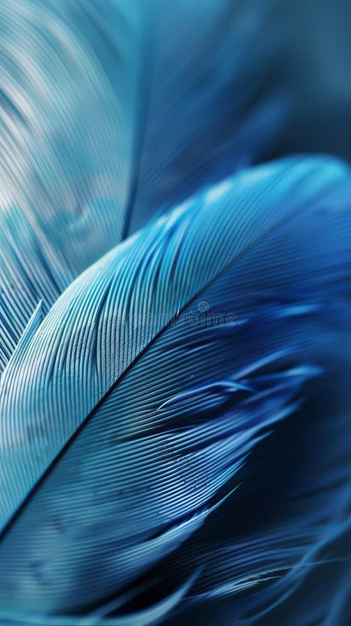 Close-up of Blue Feathers, Abstract Texture. Nature and Softness ...