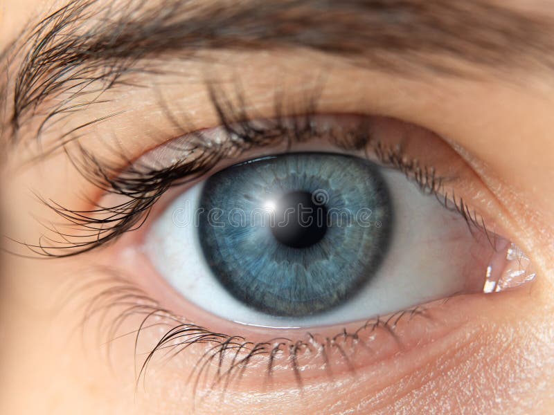 Close-Up of a Blue Human Eye Stock Photo - Image of eyebright, beauty ...
