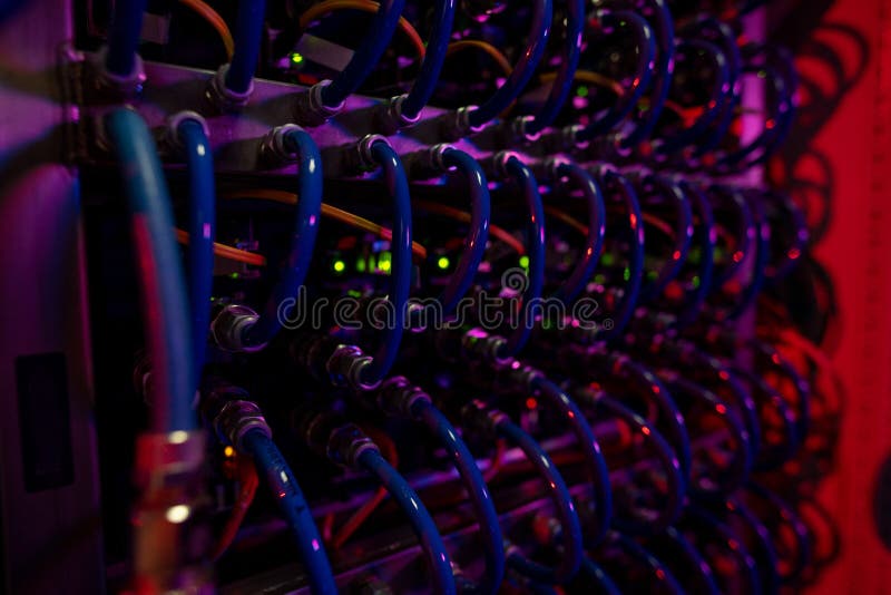 Blue Cables of Server Rack stock image. Image of data - 224081821